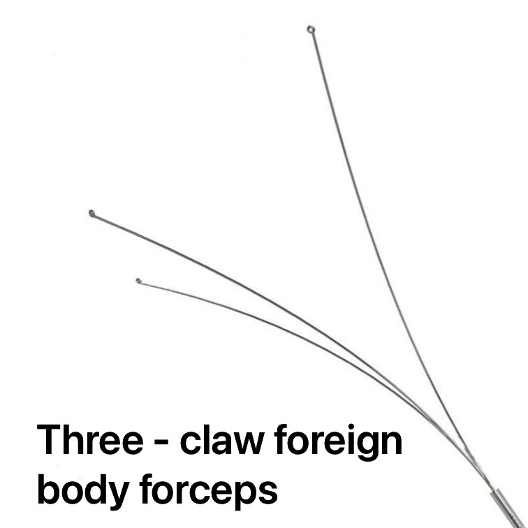 Minimally Invasive Surgical Instruments for Endoscopic Foreign Body ...